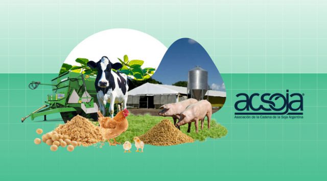 Charla El rol de la soja en la nutrición animal – Ciasfe2